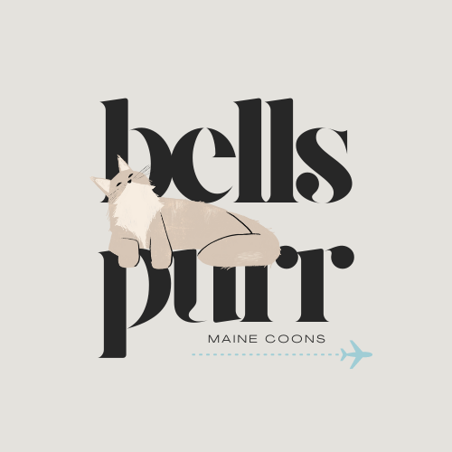 The Coon Logo Maine Coon Heartbeat Svg, Coon Cat Clipart, Cat Breed